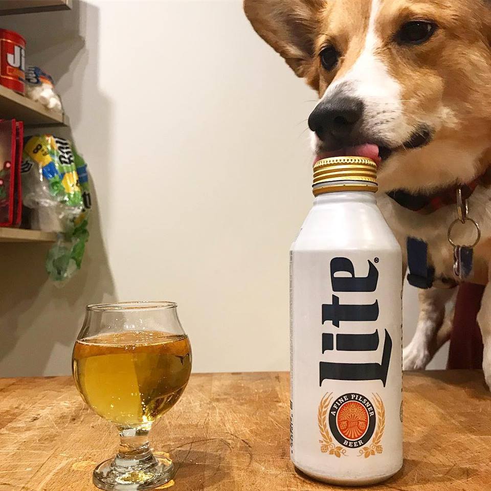Miller Lite – The Pint Sized Review